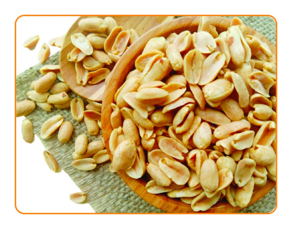 Kacang Shandong – ANEKA PUBLICATION & DISTRIBUTORS